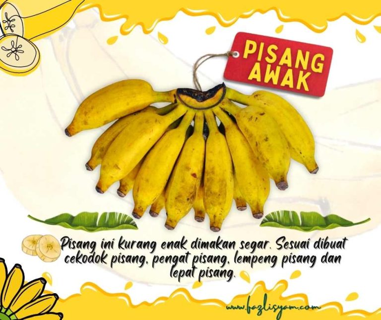 Jenis-jenis Pisang di Malaysia – Segalanya Tentang Tumbuhan…