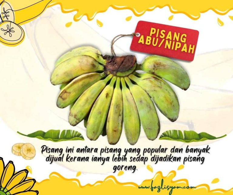 Jenis-jenis Pisang di Malaysia – Segalanya Tentang Tumbuhan…