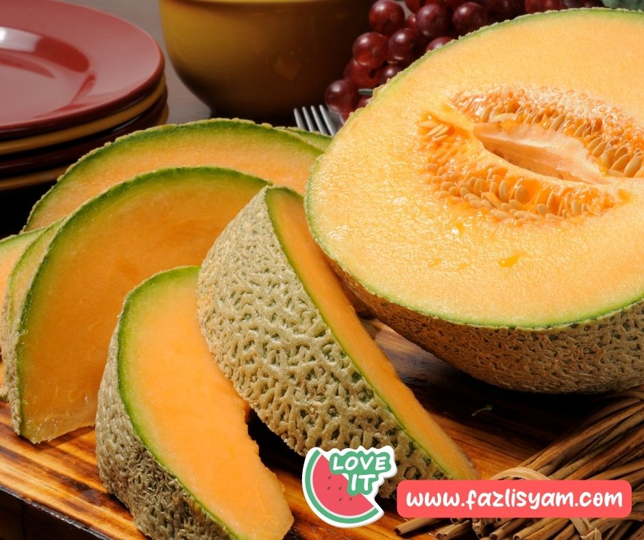 Pengeluar Tembikai Dunia – Segalanya Tentang Tumbuhan…