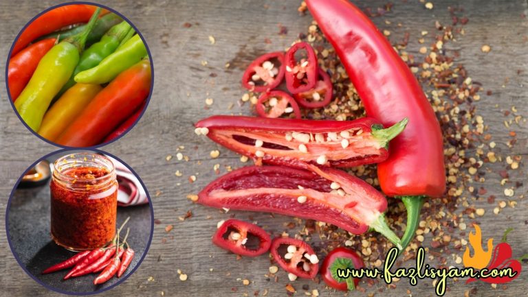 Cili dan Penggunannya – Segalanya Tentang Tumbuhan…