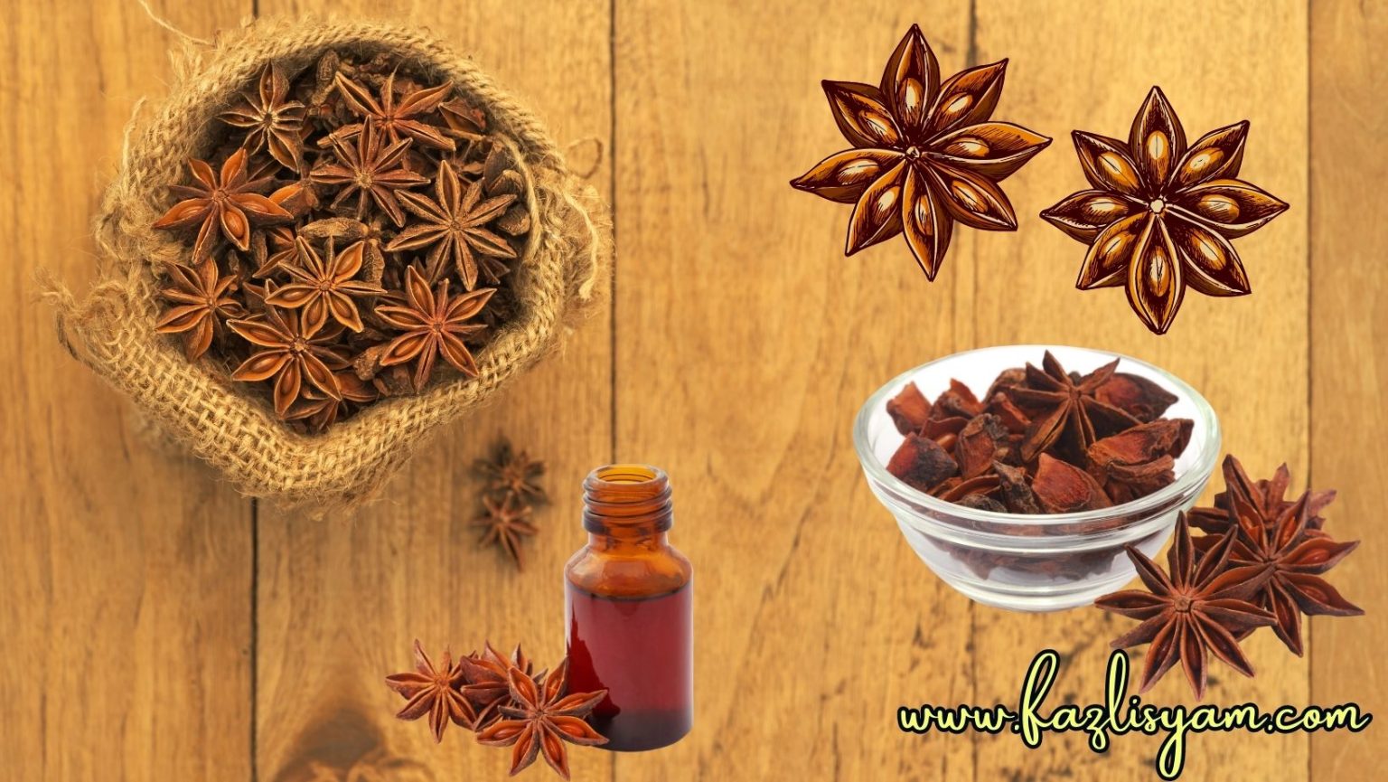 Bunga Lawang dan Penggunaannya – Segalanya Tentang Tumbuhan…