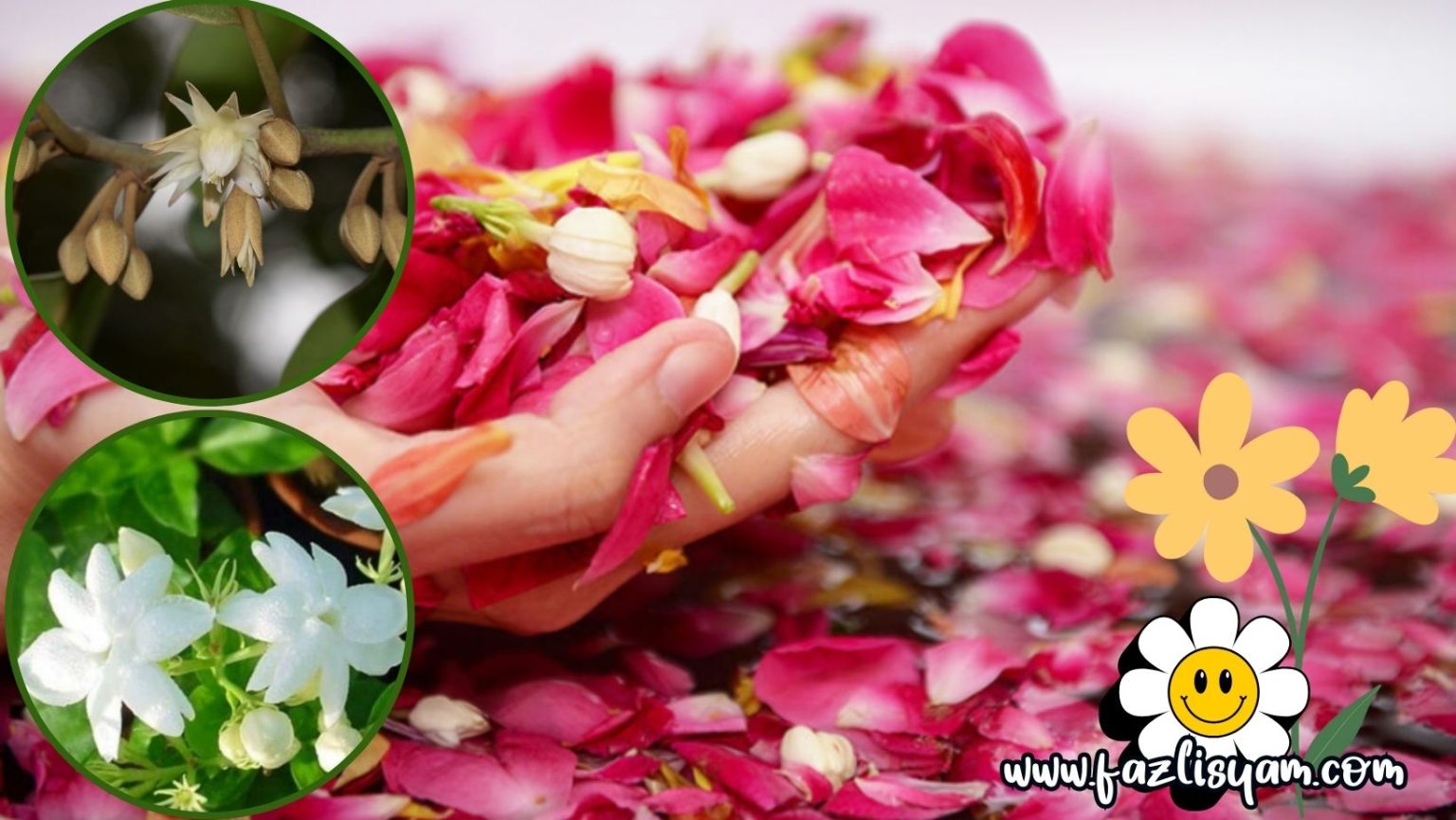 Mandi Bunga: Tradisi Dalam Masyarakat Melayu? – Segalanya Tentang Tumbuhan…